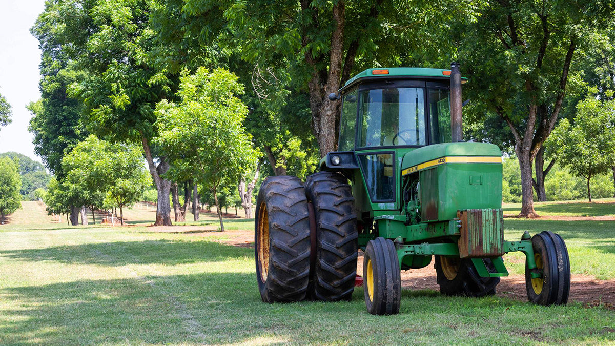 The Farm – Middleton Orchard & Wildlife